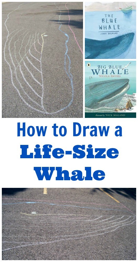 Ocean STEM Activity How Big Is A Whale Edventures With Kids ocean-stem-activity-how-big-is-a-whale-edventures-with-kids