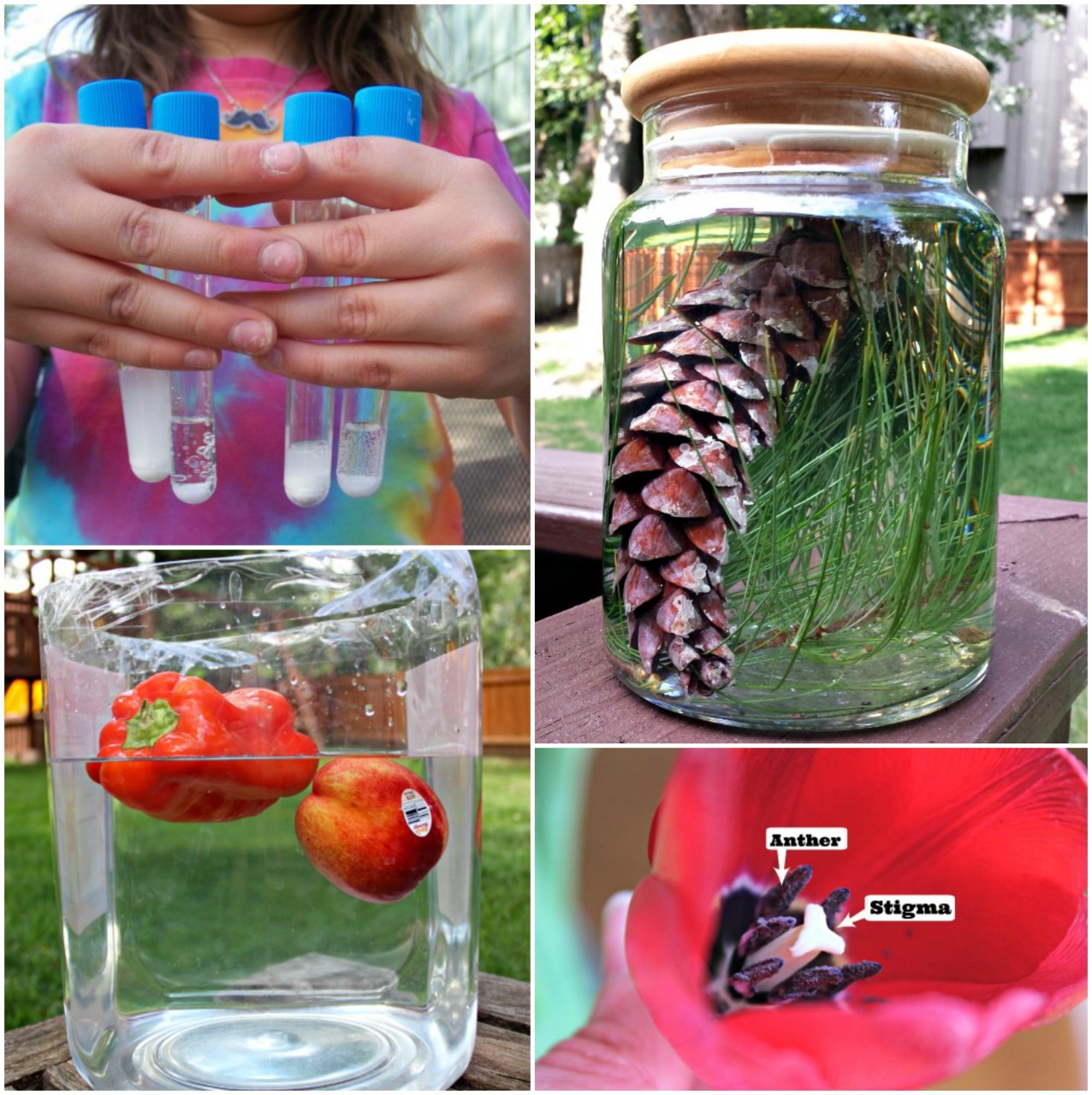 Easy Outdoor Science Experiments Easy Outdoor Science Experiments