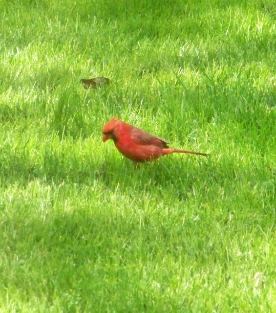 Index of /images/easyblog_articles/672