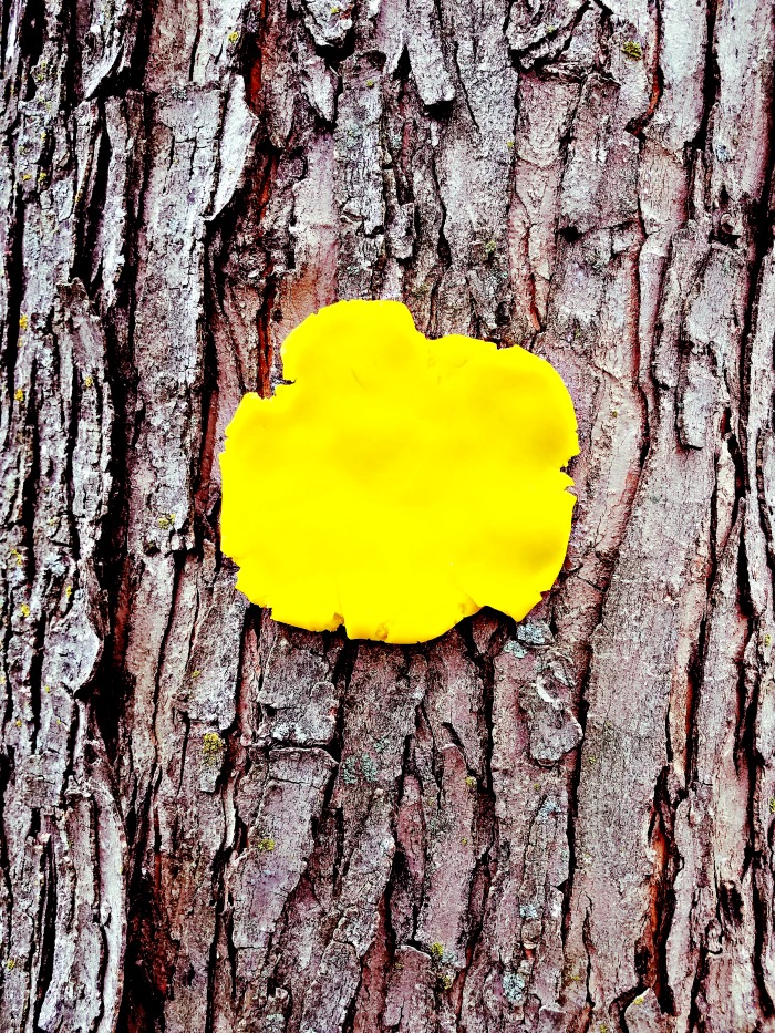 Index of /images/easyblog_articles/740