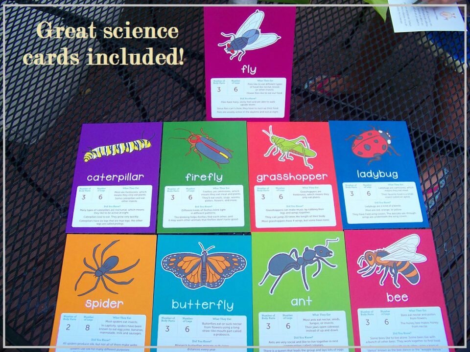 Kiwi Crate: Kid's Science & Crafts Projects - KC Edventures