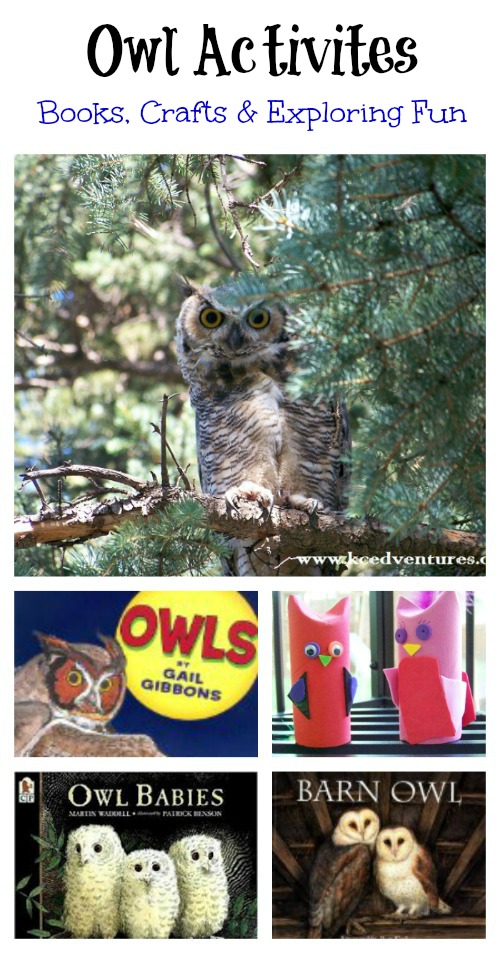 Whoo's Up for Owl Fun! - KC Edventures