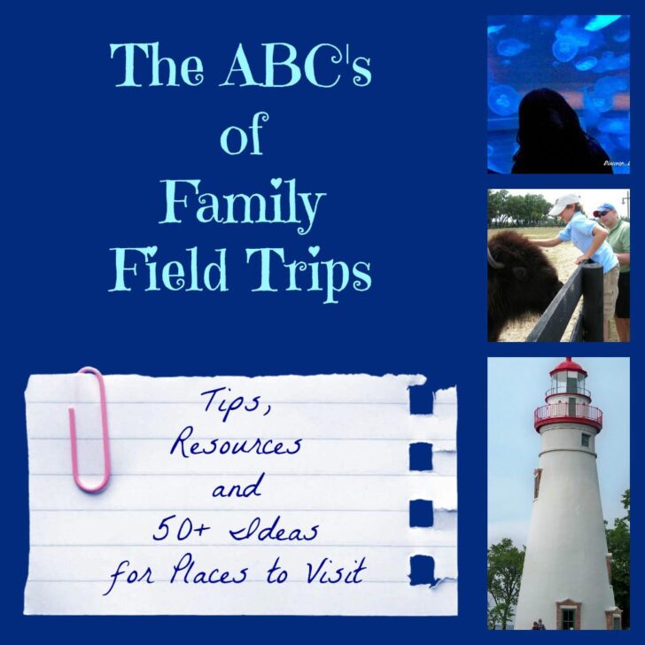The ABC's of Family Field Trips: Fun & Games, Inspire Learning & Hands ...