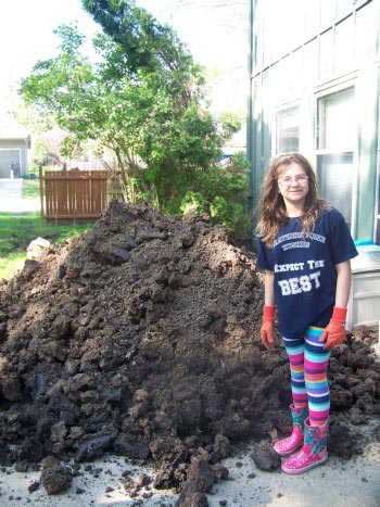 Creating Your Own Dinosaur Dig & Learning about Paleontology - KC ...