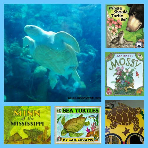 Amazing Turtle Books for Kids - KC Edventures