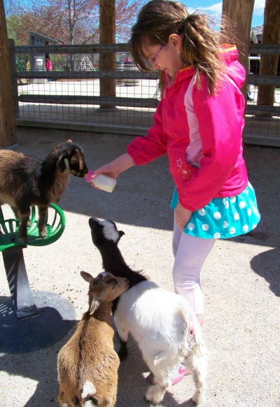 Fun on the Farm: Places to Learn about Farm Animals & Food - KC Edventures