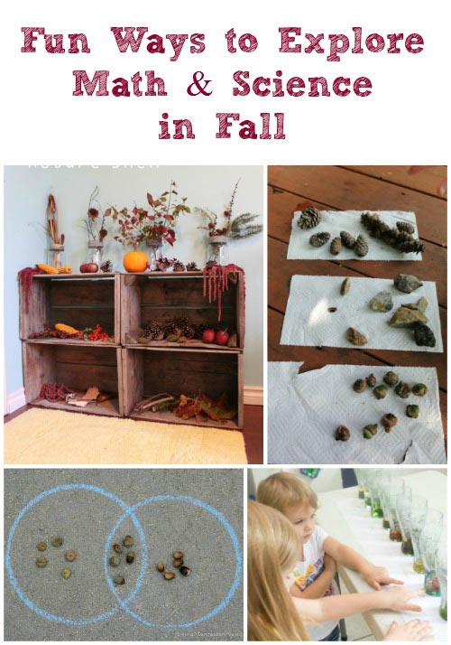 Exploring Science & Math with Fall Activities - KC Edventures