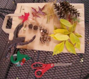 Creating with Items from Nature - KC Edventures