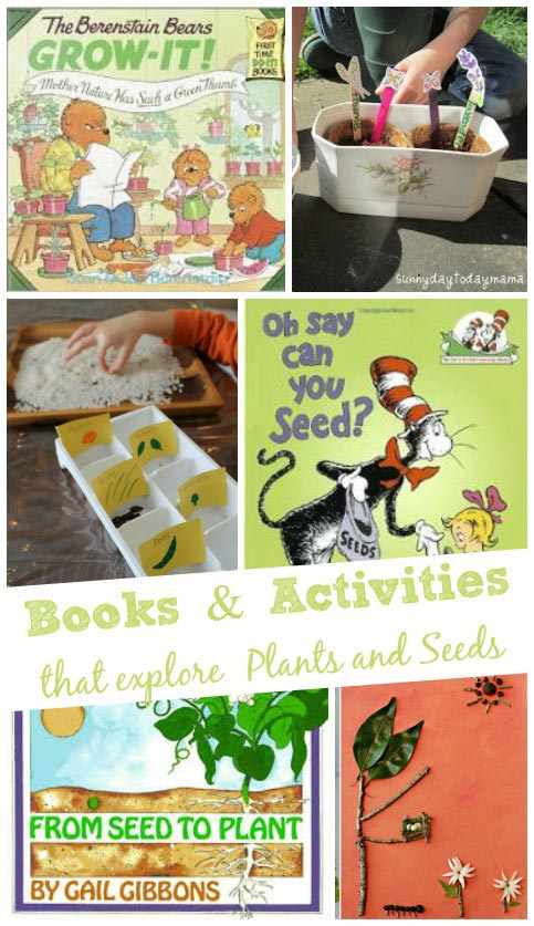 Books & Activities that Explore Plants and Seeds - KC Edventures