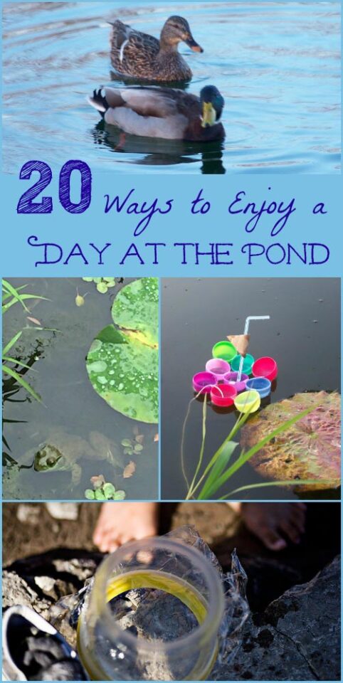 17 Fun Things to do at a Pond | Activities for Kids