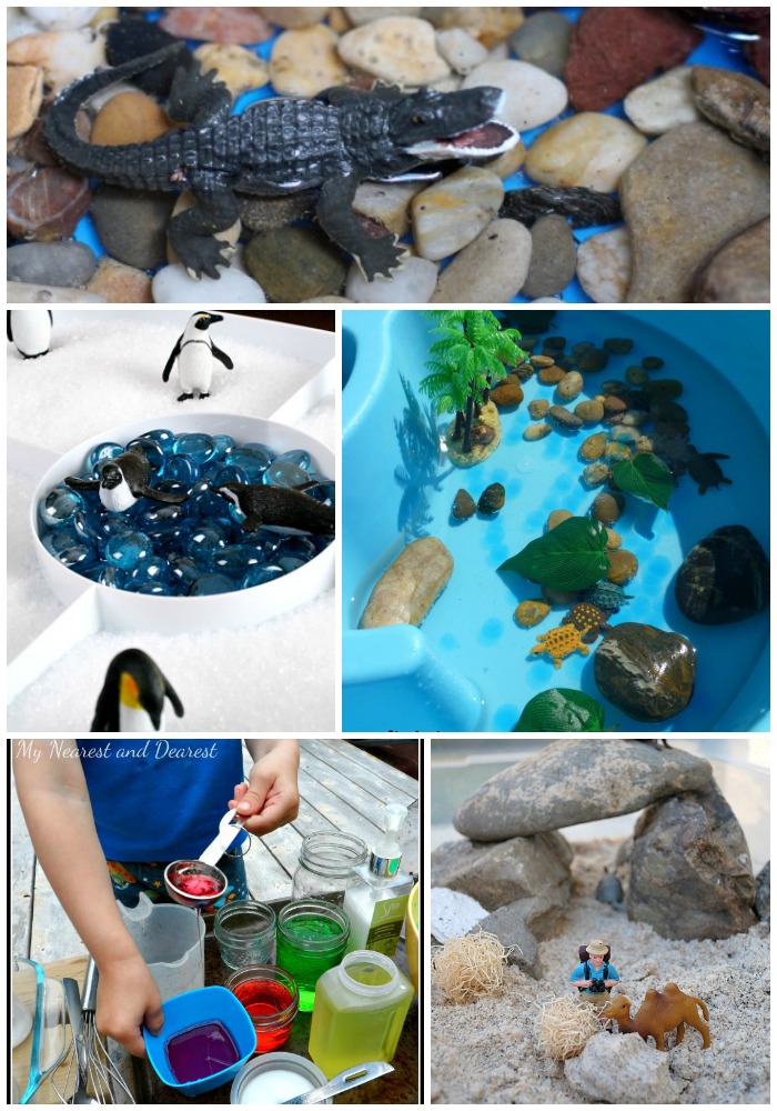 15 Play & Learning Ideas: Science Exploration Activities