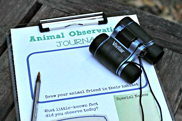 Outdoor Science Tools & Activities for Kids