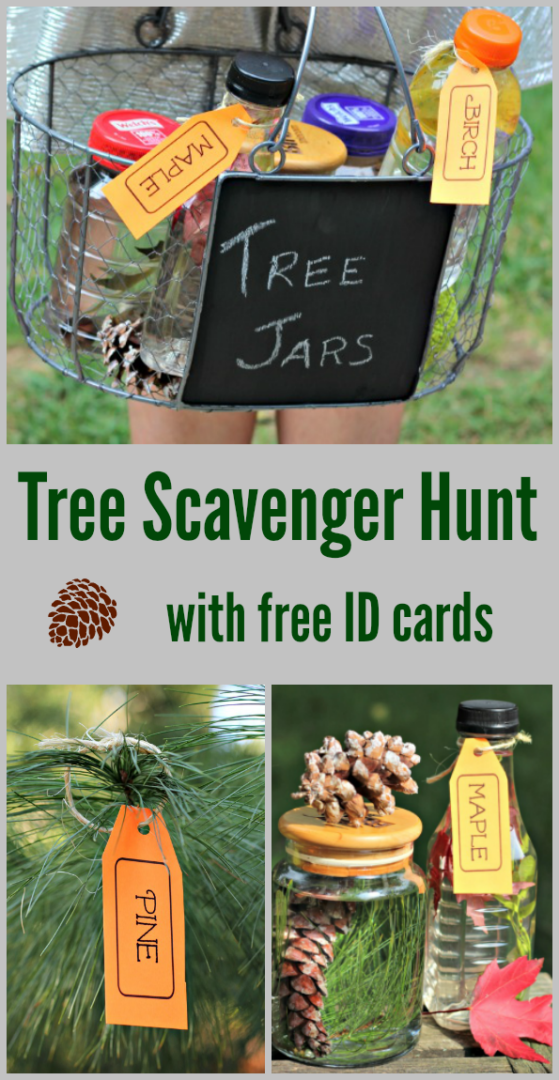 Tree Identification Scavenger Hunt Game for Kids