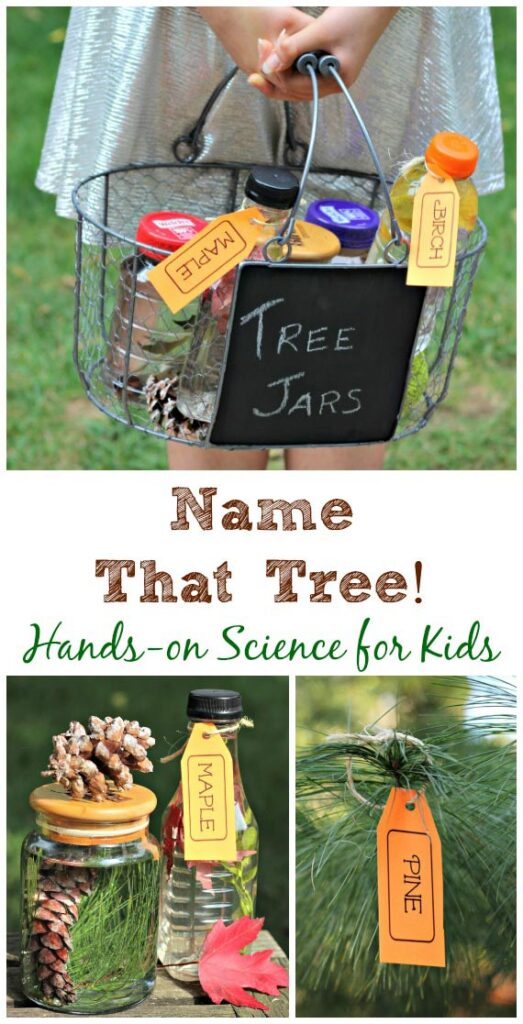 Tree Identification Scavenger Hunt Game for Kids