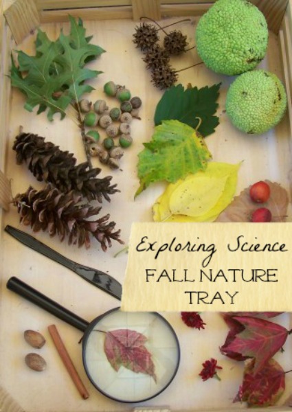 Fall Nature Table Ideas for the Classroom, Waldorf, Montessori