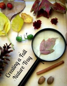 Fall Nature Table Ideas for the Classroom, Waldorf, Montessori