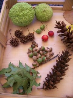 Fall Nature Table Ideas for the Classroom, Waldorf, Montessori