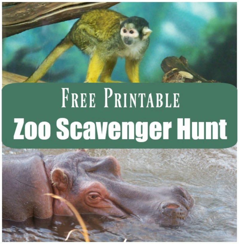 FREE Zoo Scavenger Hunt for Kids (with printable!)