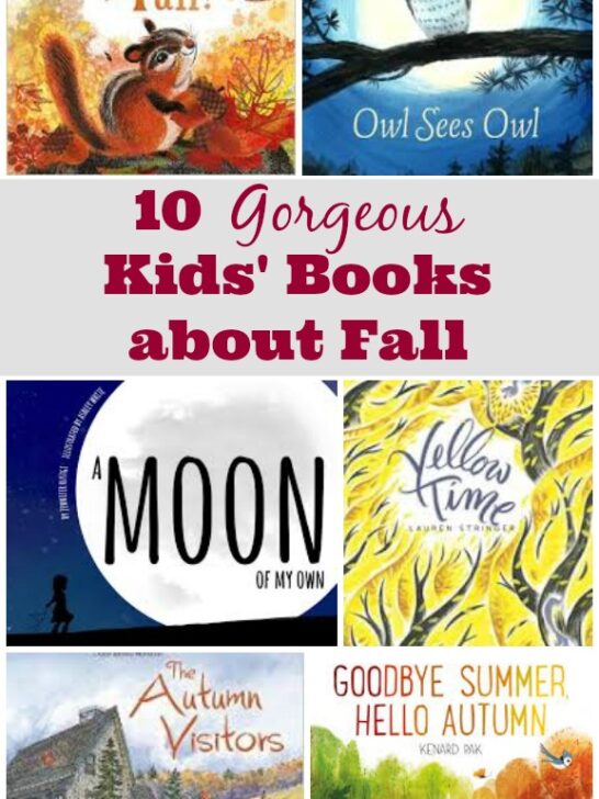 Fall Learning Series & Lesson Plan Ideas - KC Edventures