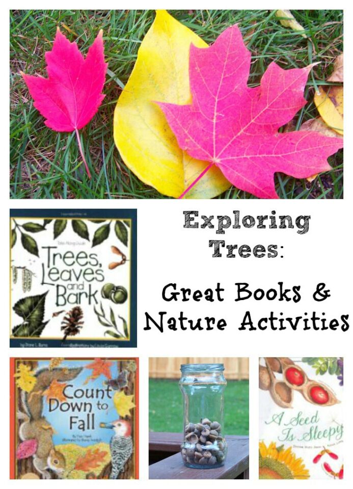 Tree Seeds & Leaves: Nature Activities and Books for Kids
