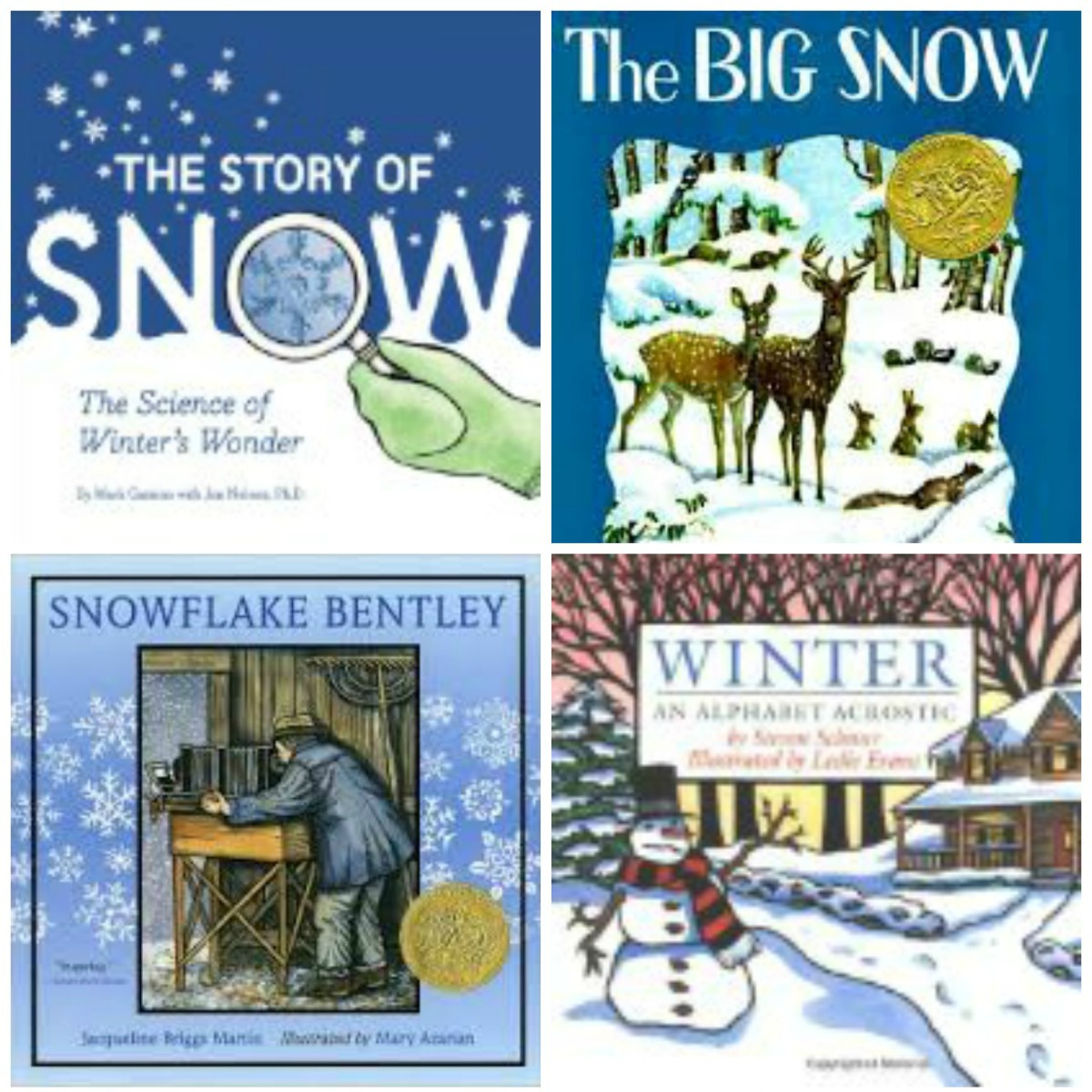 14 Winter Chapter Books & Picture Books