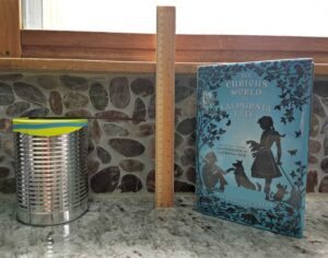 Science Project: How to Make a Barometer for Kids