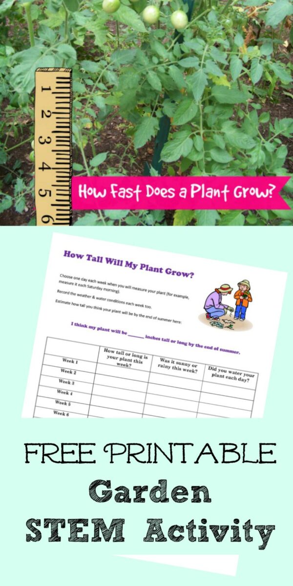 9 Plant Activities for Kids | Measure Plant Growth & STEM Garden Projects