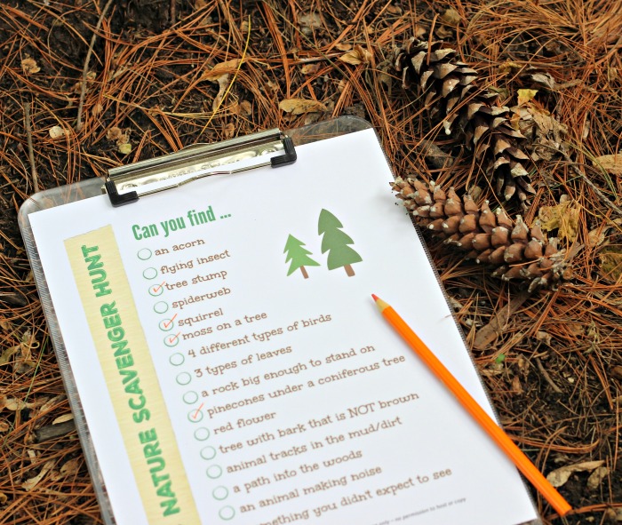 Nature Scavenger Hunt List {w/free printable!}