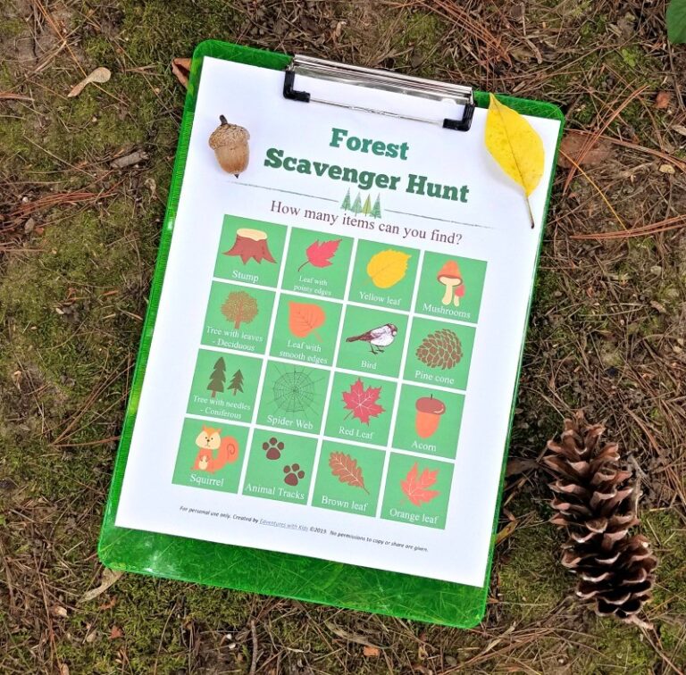 Walk in the Woods | Nature Hike Scavenger Hunt