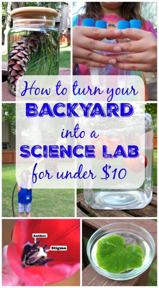 20 Outdoor Science Experiments | Backyard Science Activities 20 Outdoor Science Experiments | Backyard Science Activities