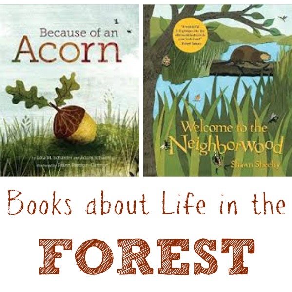 10 Children's Books about Forest Life & Woodland Animals