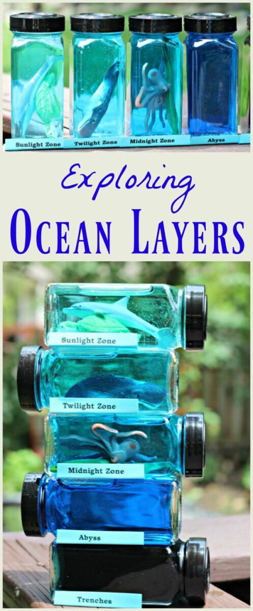 Ocean Zones for Kids: Marine Life & Sea Layers