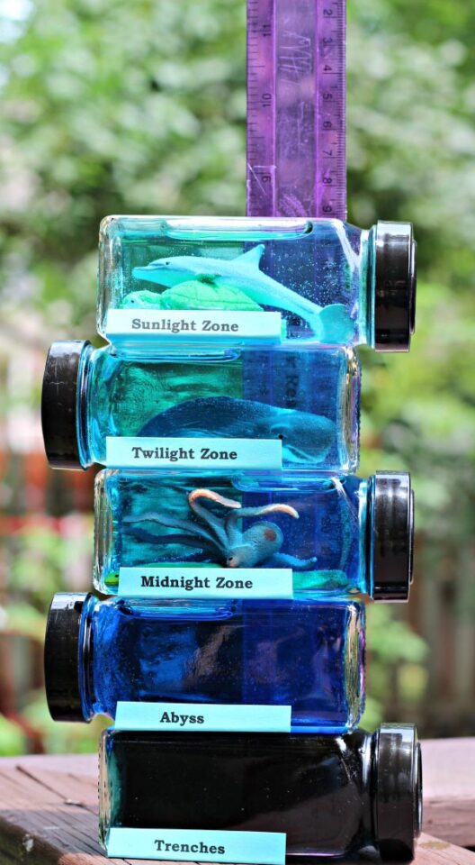 Ocean Zones for Kids: Marine Life & Sea Layers