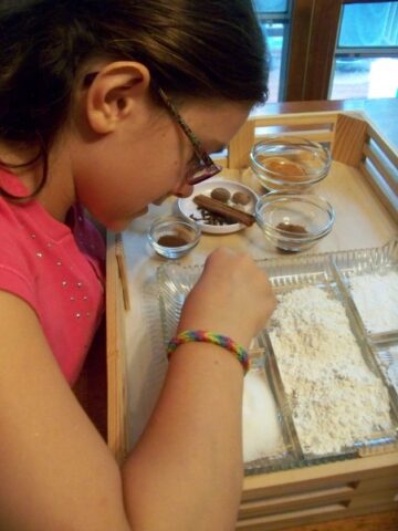 Five Senses Science Activity for Kids