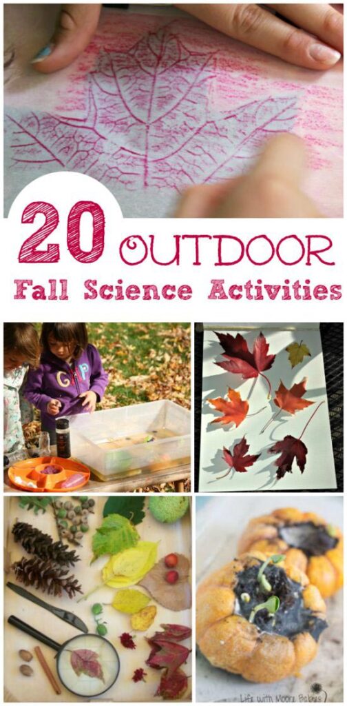20 Fall Science Experiments | Preschool, Kindergarten & Elementary