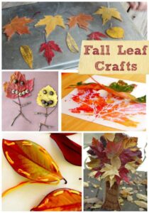 18 Fall Science Activities and Experiments with Leaves