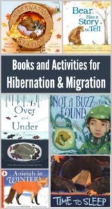 10 Children's Book about How Animals Prepare for Winter