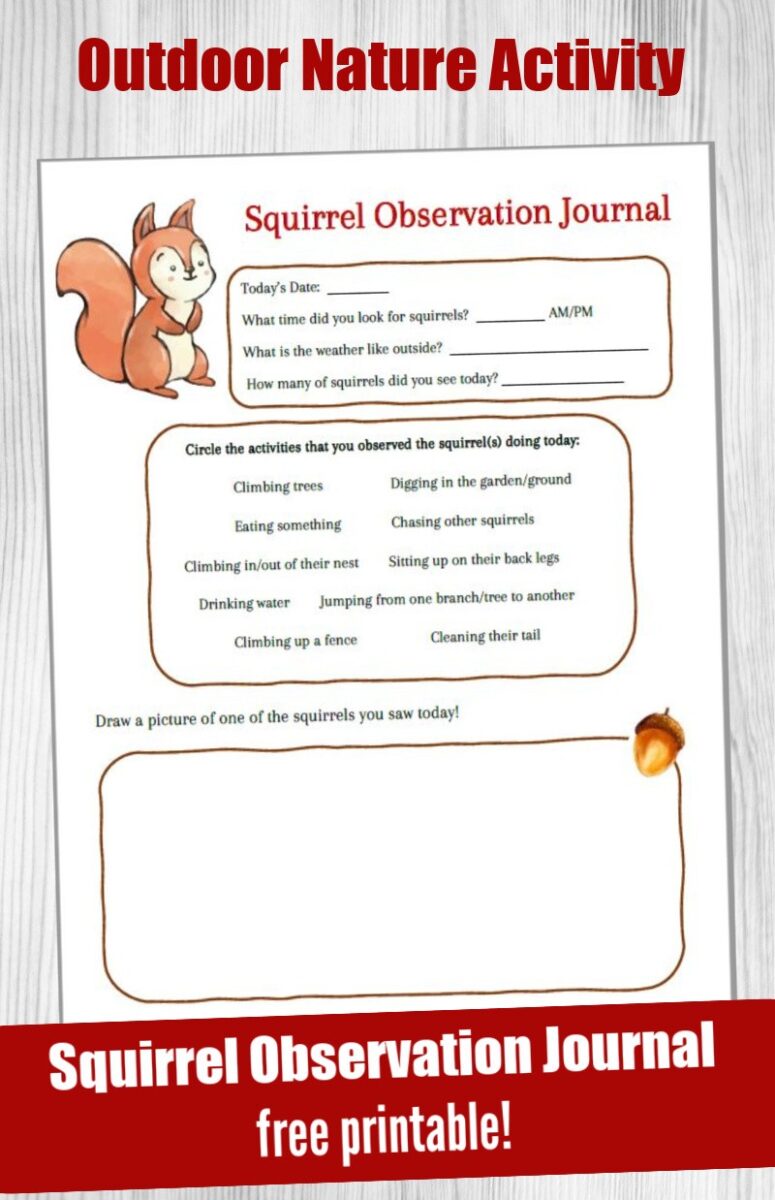 10 Children's Book about How Animals Prepare for Winter