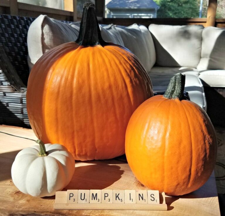 Pumpkin STEAM Activities for Kids