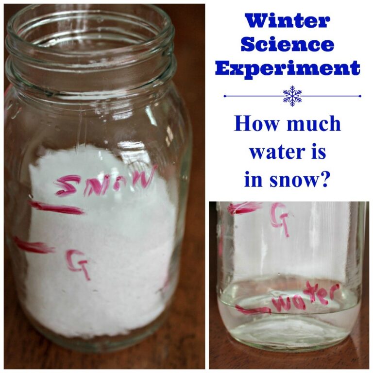How Much Water is in Snow? Science Experiments for Kids