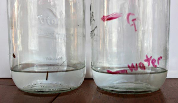 How Much Water is in Snow? Science Experiments for Kids