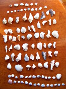 100 Items for 100 Days of School