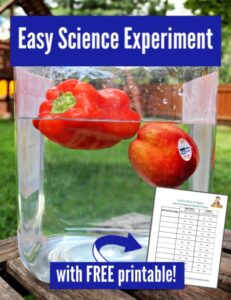 12 Super Simple Science Experiments for Kids