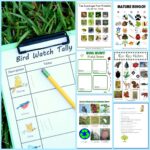 17 Spring Scavenger Hunts | FREE Printables for Preschool, Kids & Tweens