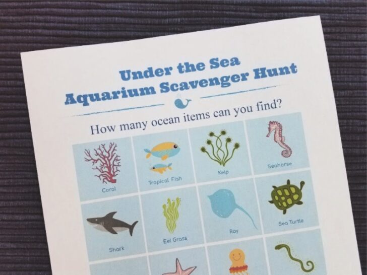 Aquarium Scavenger Hunt | Online Scavenger Hunt