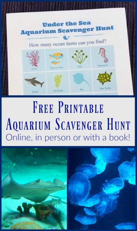 Aquarium Scavenger Hunt | Online Scavenger Hunt