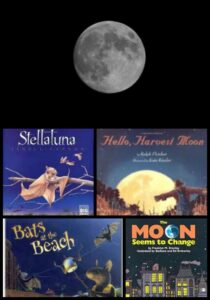 13 Fall Themes for Home or Classroom | 50 Ideas & Activities