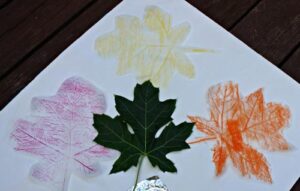 Leaf Rubbing Activity | Nature Art Project