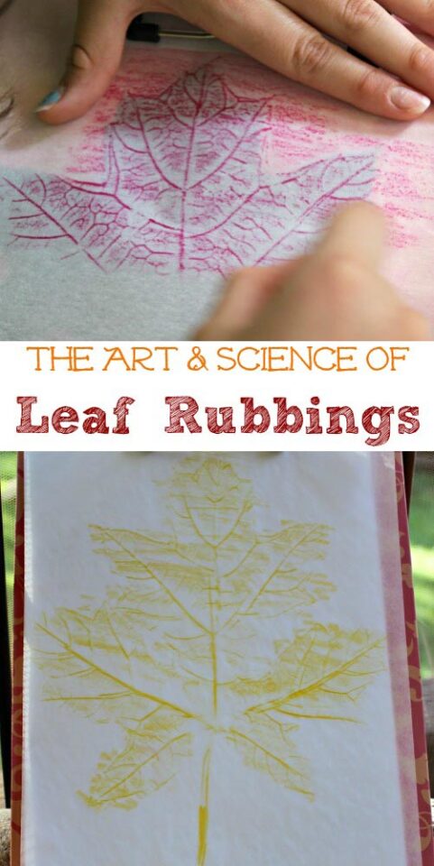 Leaf Rubbing Activity | Nature Art Project