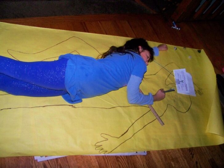 Biology STEM Project: Bones of the Human Body